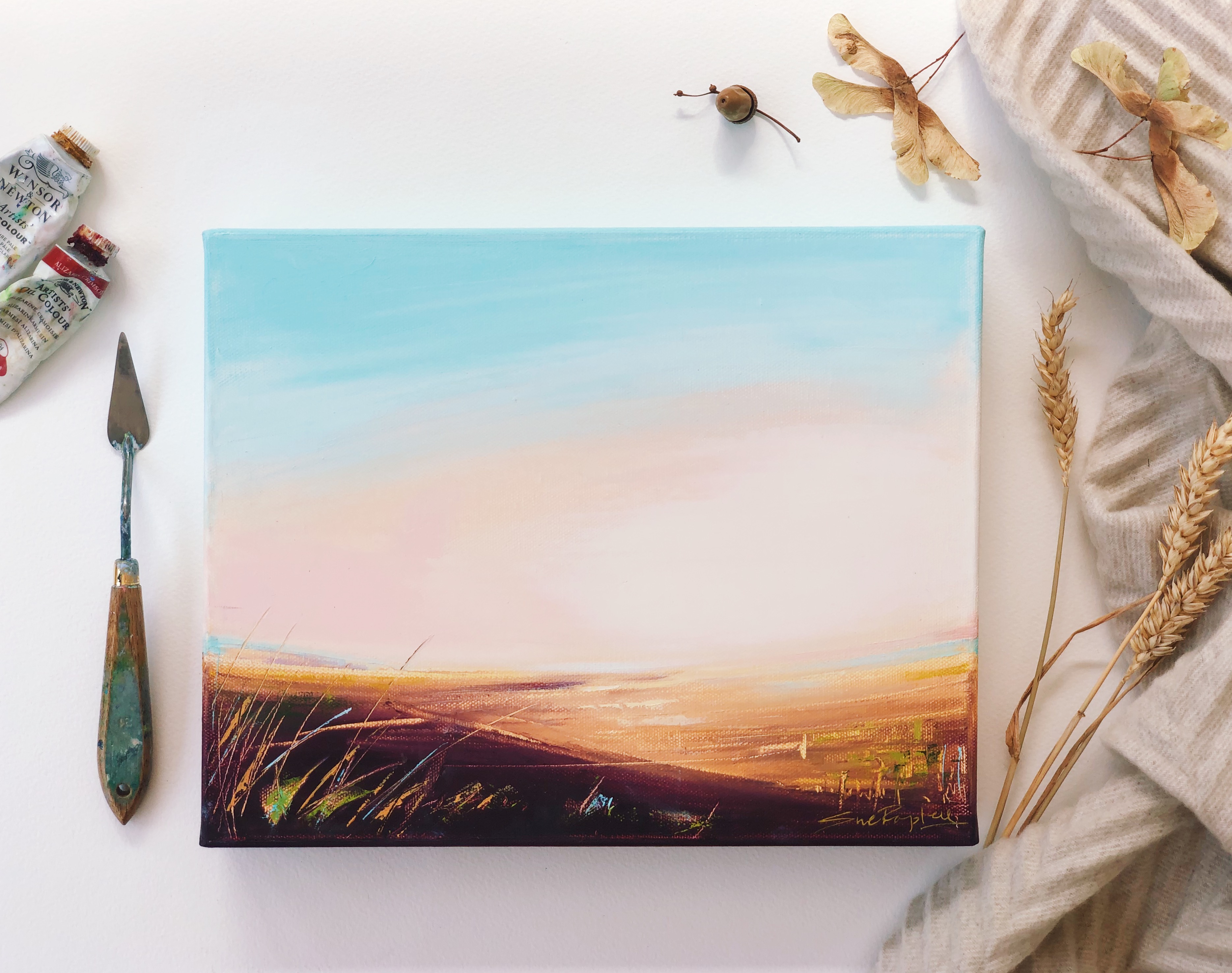 New Exhibition – Sue Rapley – Wonky Wheel Gallery